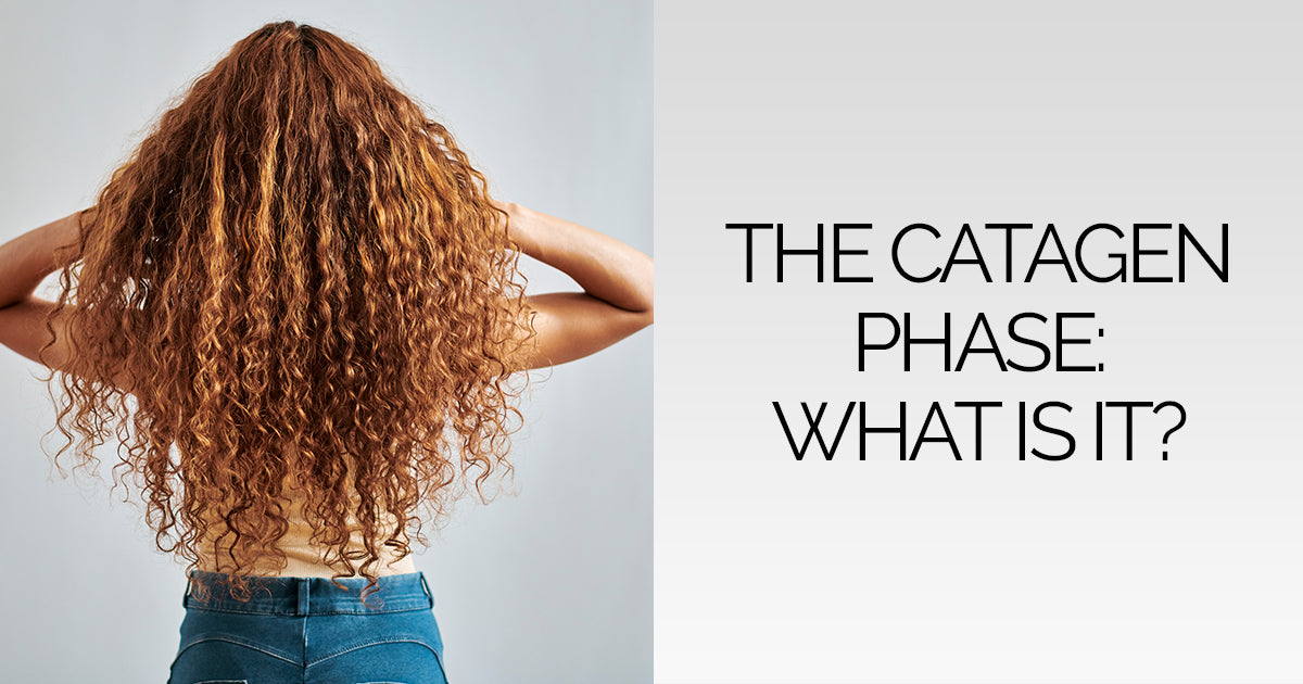 The Catagen Phase: What Is It And How Does It Relate to Hair Loss?